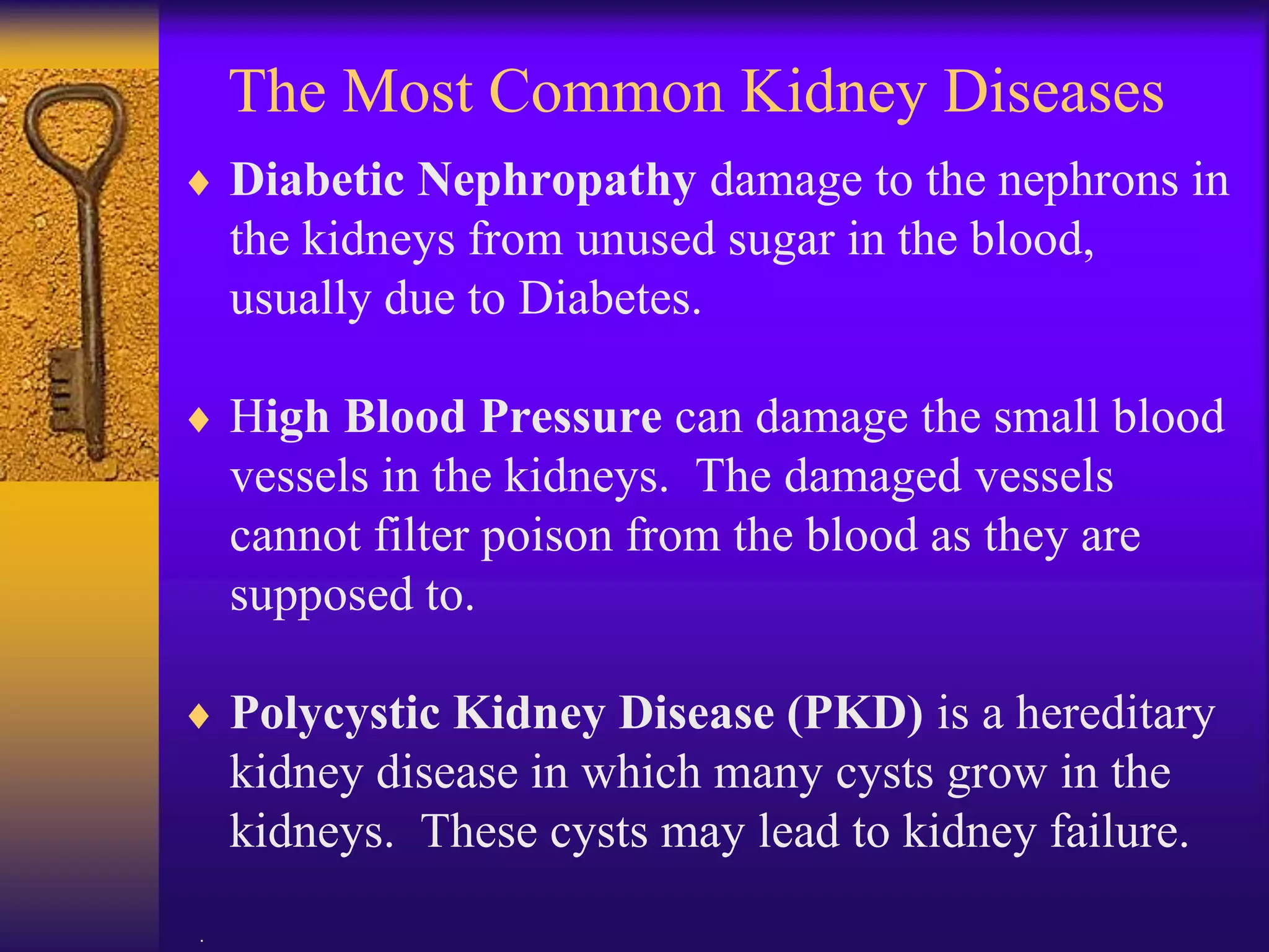 Renal Disorders & MNT.ppt