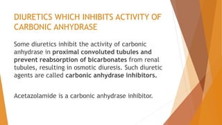 renal diuretic.pptx
