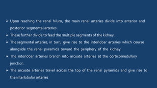 Basics of Renal Doppler | PPTX