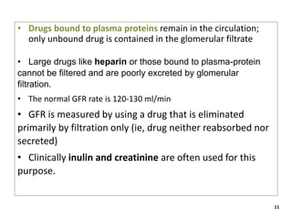 Renal drug excretion | PPTX