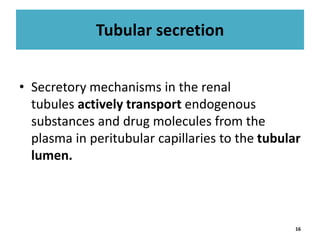 Renal drug excretion | PPTX
