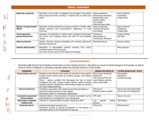 renal dse renal dse renal dse renal dse renal dse | PDF