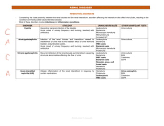 renal dse renal dse renal dse renal dse renal dse | PDF