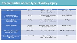 Renal and Electrolyte Charts with normal values | PPTX