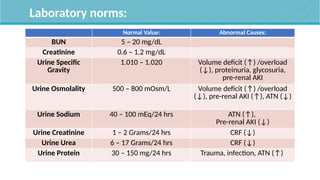 Renal and Electrolyte Charts with normal values | PPTX