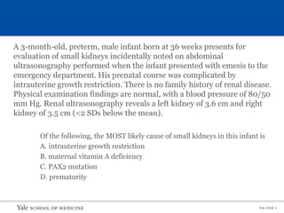 Renal Embryology.pptx