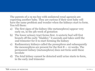 Renal Embryology.pptx