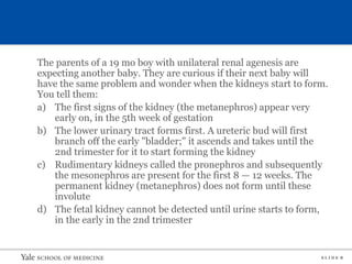 Renal Embryology.pptx