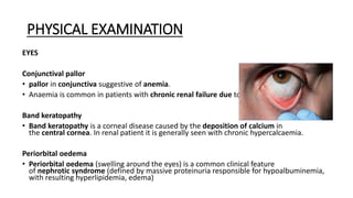 RENAL EXAMINATION.pptx