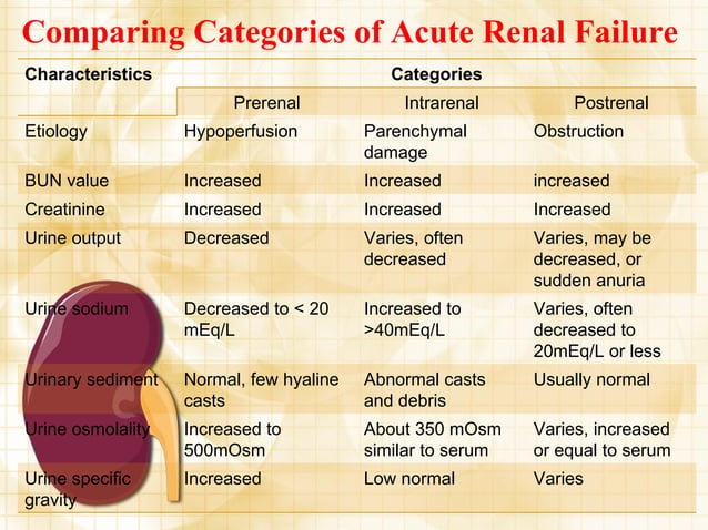 Renal Failure | PPT