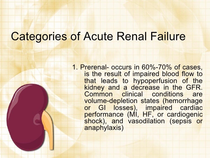 Prerenal Causes Of Kidney Failure Renal Pathophysiology: Acute Kidney