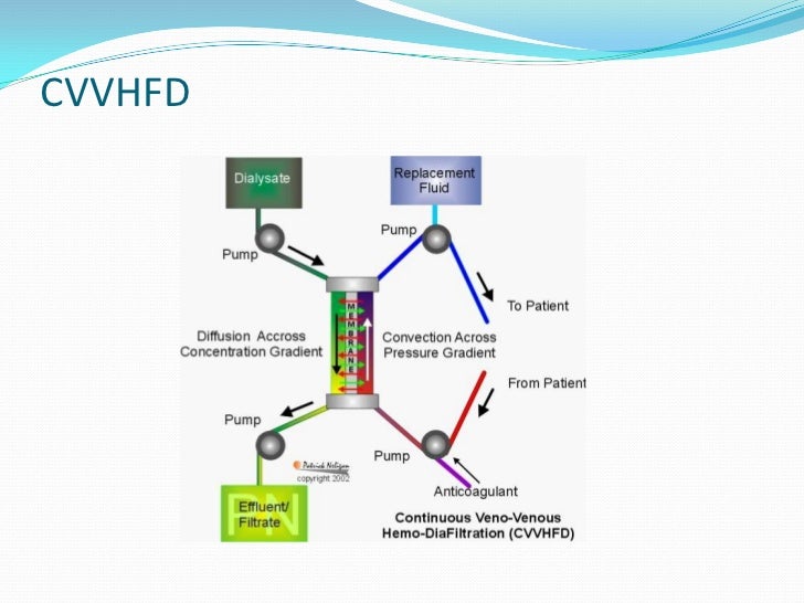 Renal Replacement Therapies