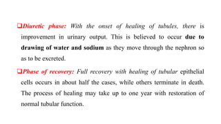 Pathophysiology of Renal failure | PPTX