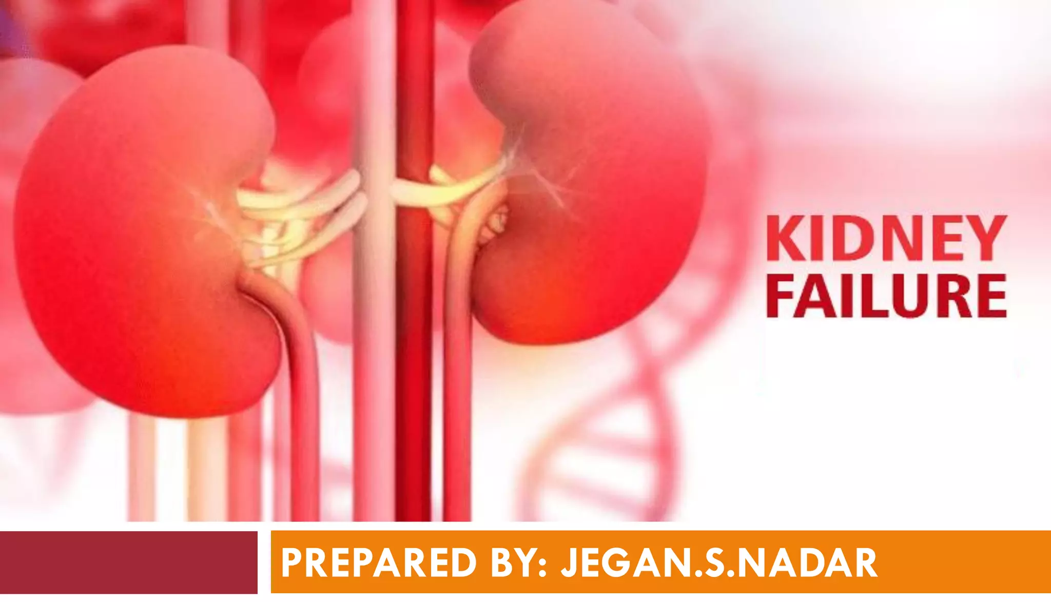 Pathophysiology of Renal failure | PDF