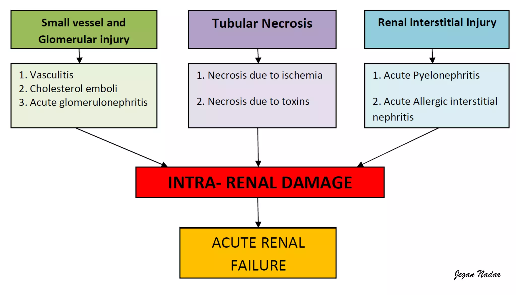 Pathophysiology of Renal failure | PDF