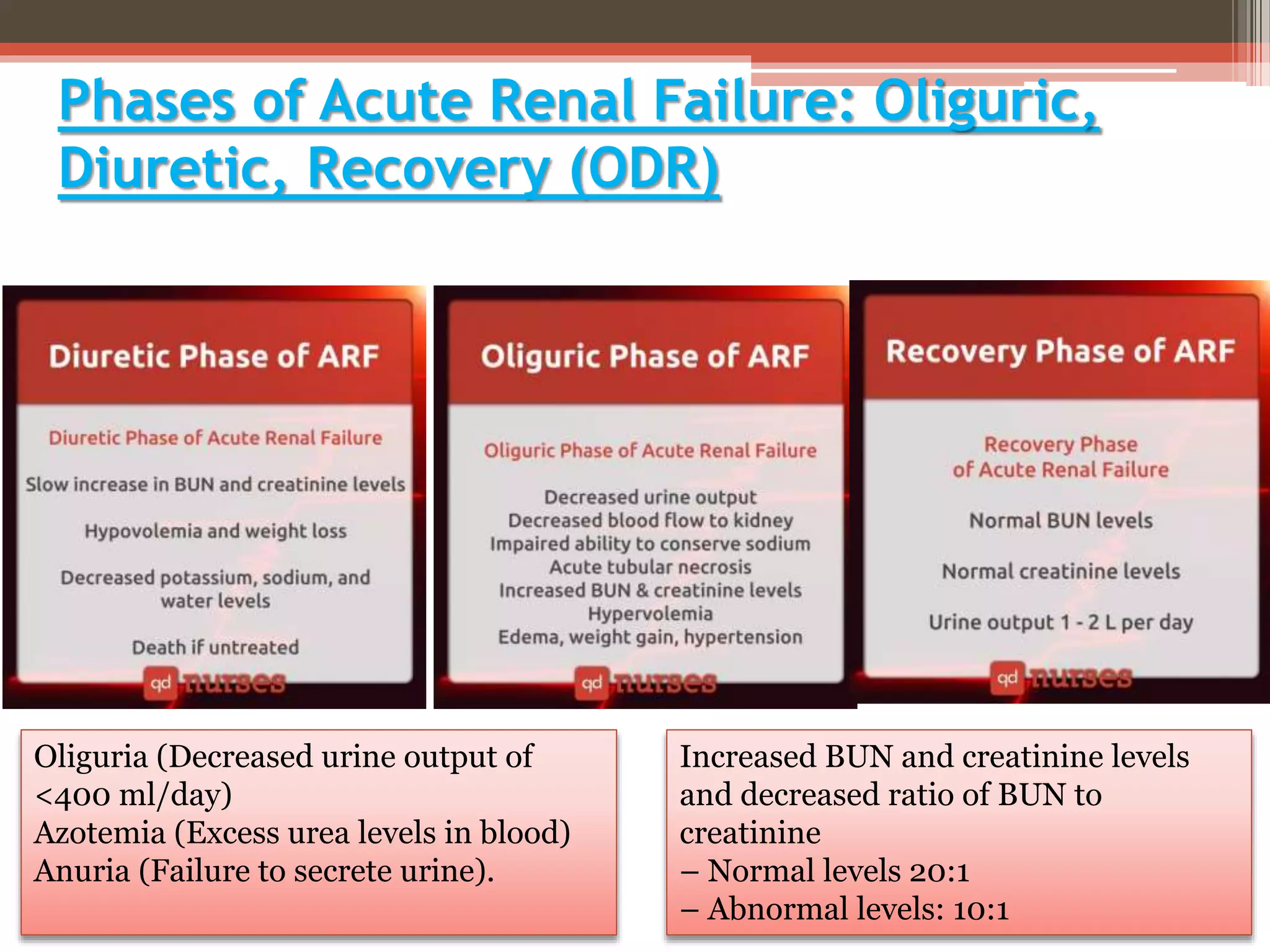 Renal failure in children | PPTX