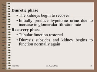 RENAL FAILURE.ppt