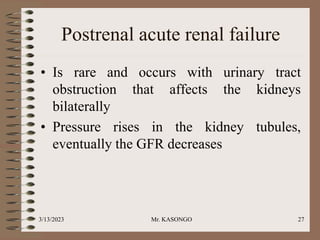 RENAL FAILURE.ppt