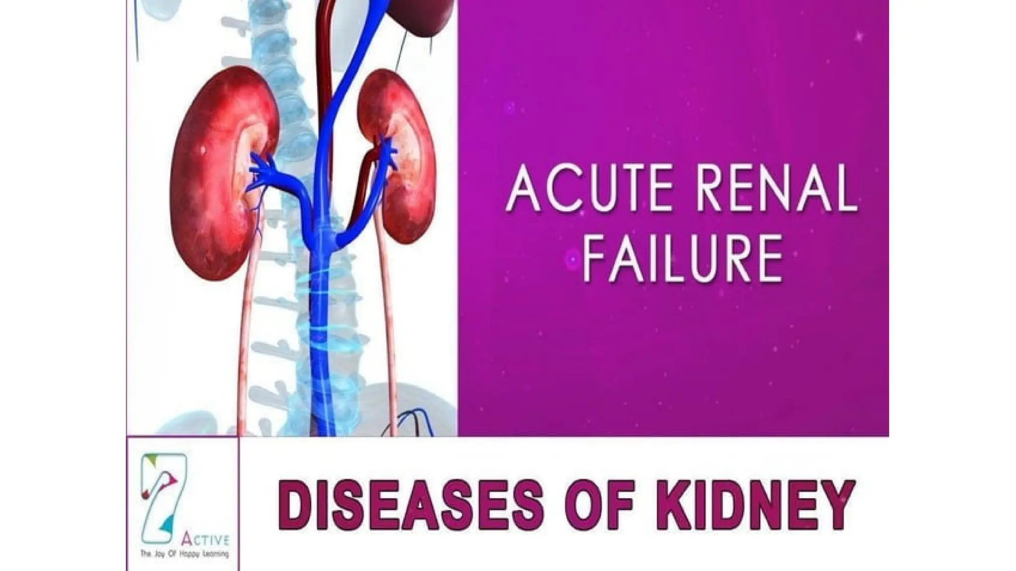 renal failure.pptx definition causes ,risk factors ,clinical ...
