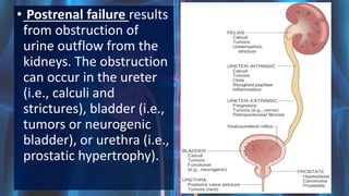 Renal failure | PPTX