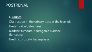 RENAL FAILURE | PPTX