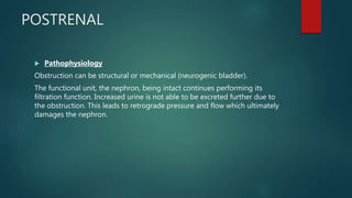 RENAL FAILURE | PPTX