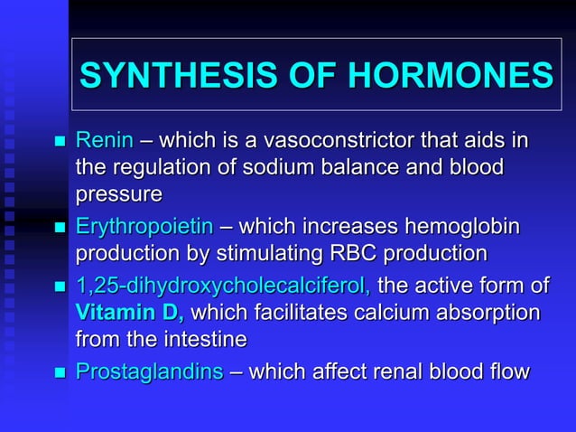 Renal Function.ppt