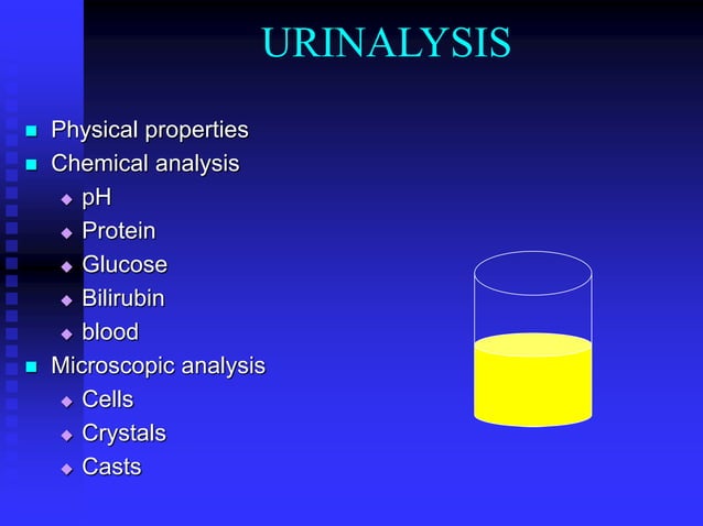 Renal Function.ppt