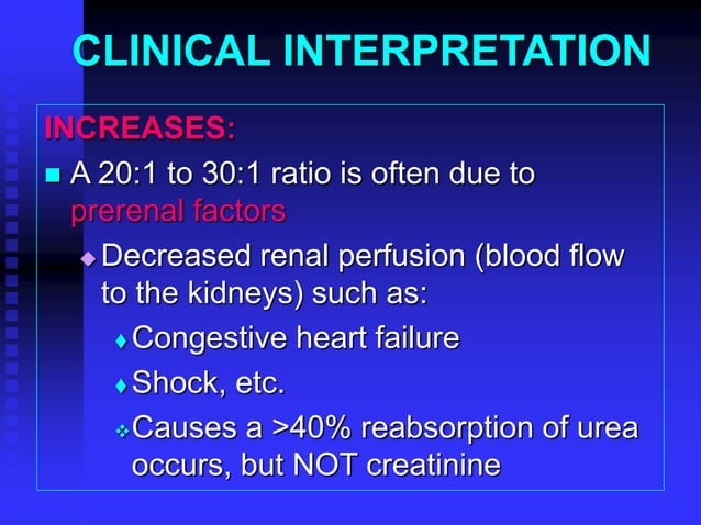 Renal Function.ppt