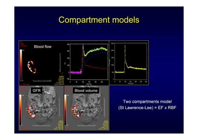 Renal_function_and_GFR_with_MR_imaging.pdf