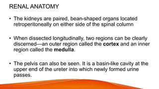 RENAL FUNCTION AND RENAL FUNCTION TESTS -RACOH.pptx