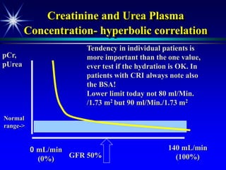 Renal functions.ppt