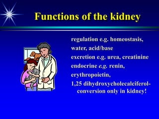 Renal functions.ppt