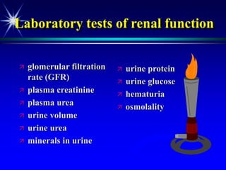 Renal functions.ppt