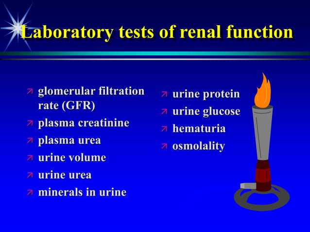 Renal functions.ppt