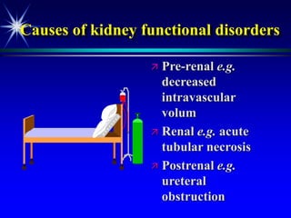 Renal functions.ppt