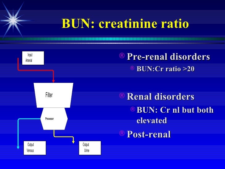 Bun creatinine ratio normal range for dogs - merymister