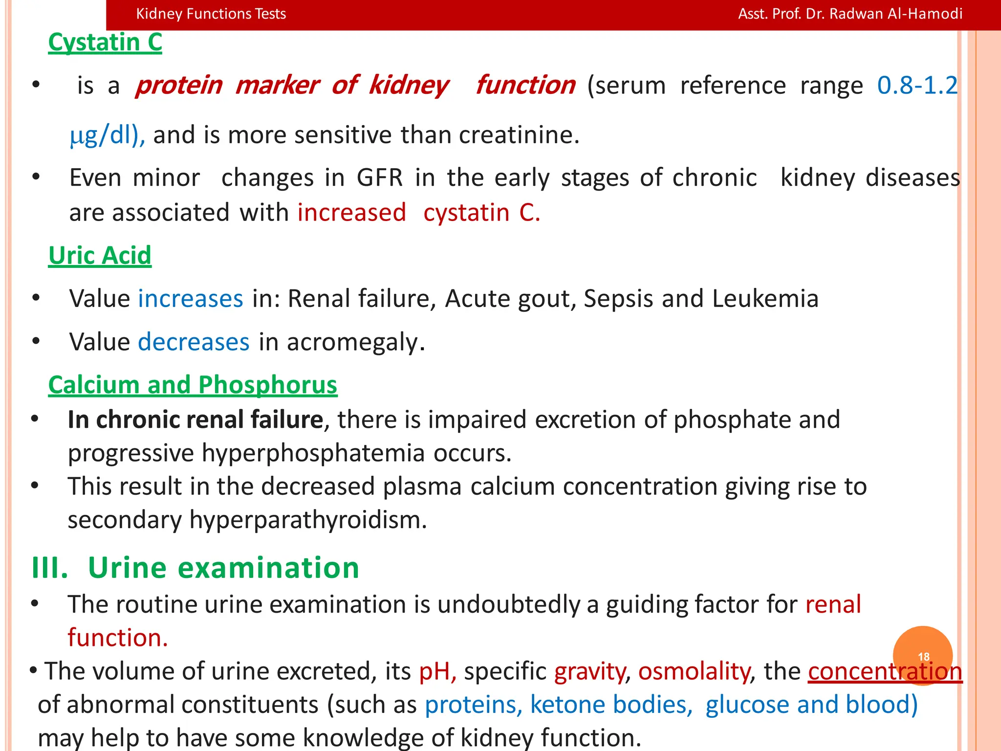 biochemistry of Renal Functions Tests.pdf