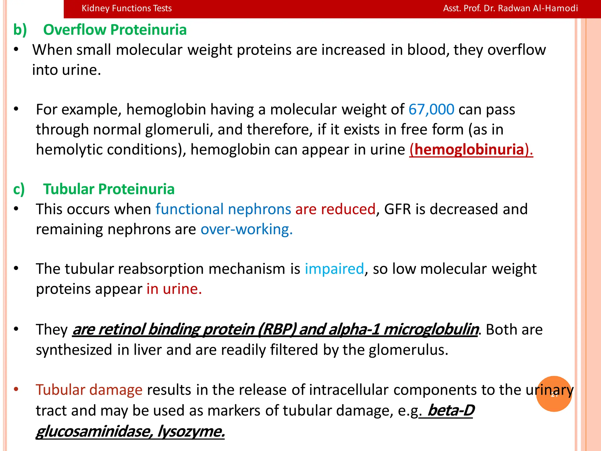 biochemistry of Renal Functions Tests.pdf