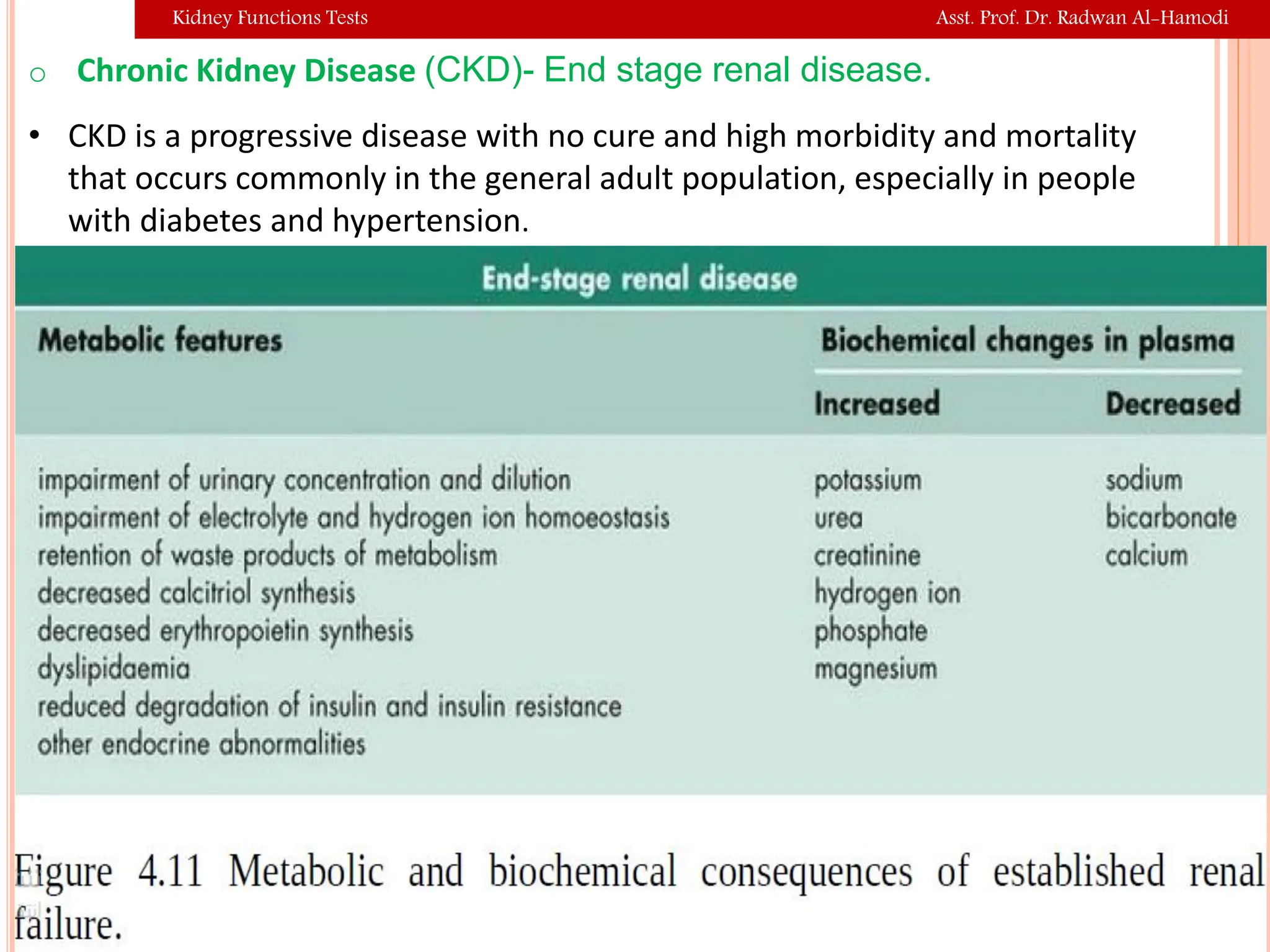biochemistry of Renal Functions Tests.pdf