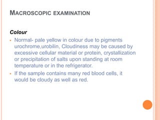 Renal function test | PPTX