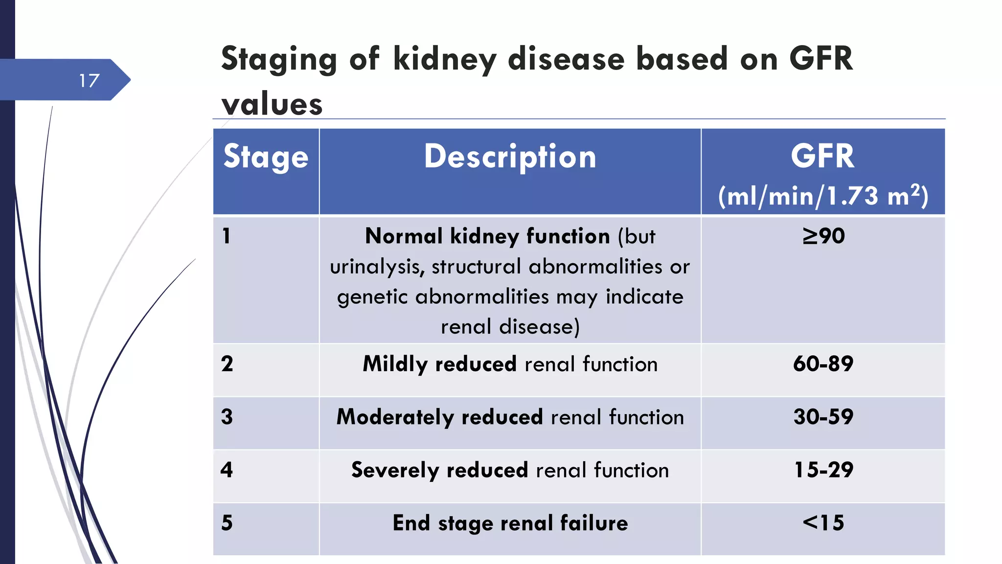 Renal Function Test Pdf