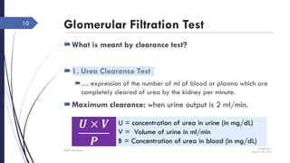 Renal function test | PDF
