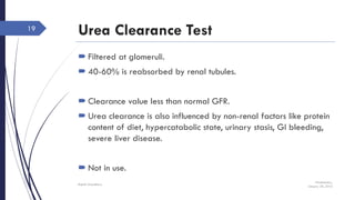 Renal function test | PDF