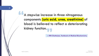 Renal function test | PDF