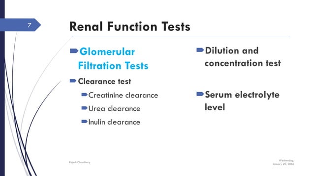 Renal function test | PDF
