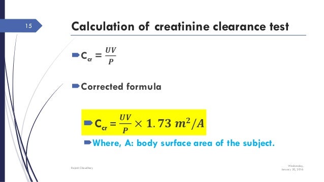 Renal function test