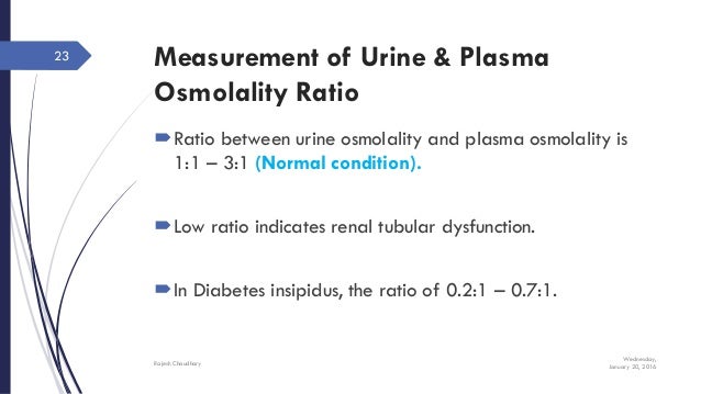 Renal function test