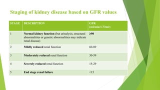 Renal function test | PPTX