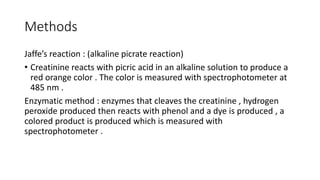 Renal function test | PPT